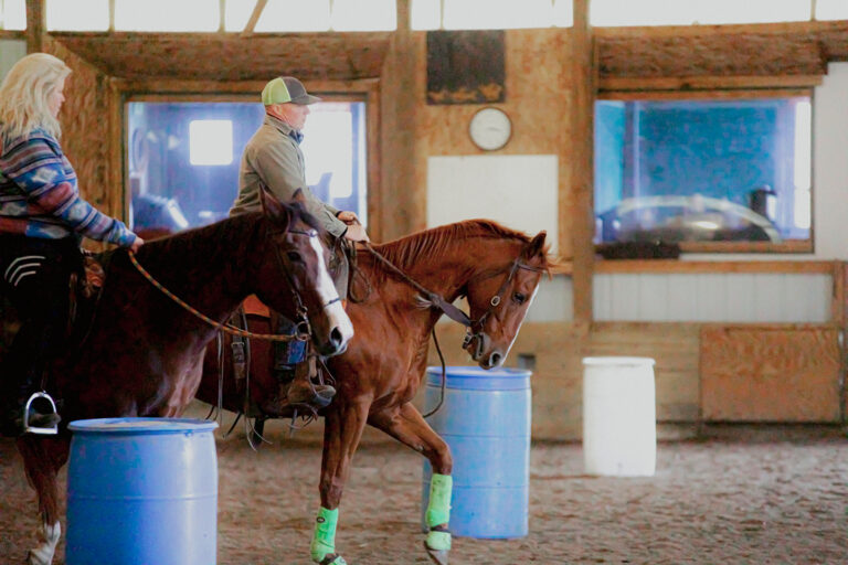 Natural Horsemanship Mentoring and Training