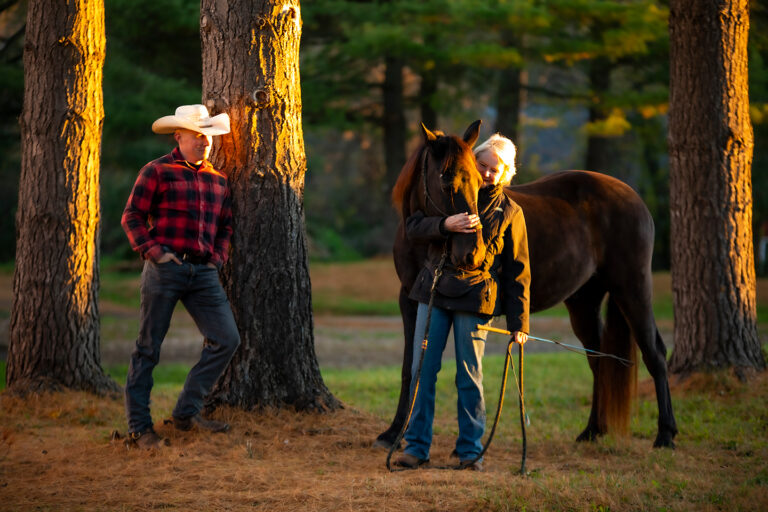 Natural Horsemanship Mentoring and Training